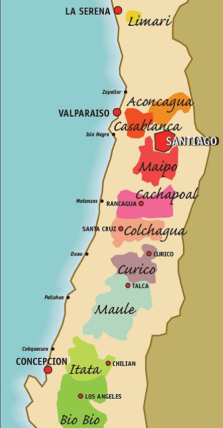 Il vino in Cile - WineSurf