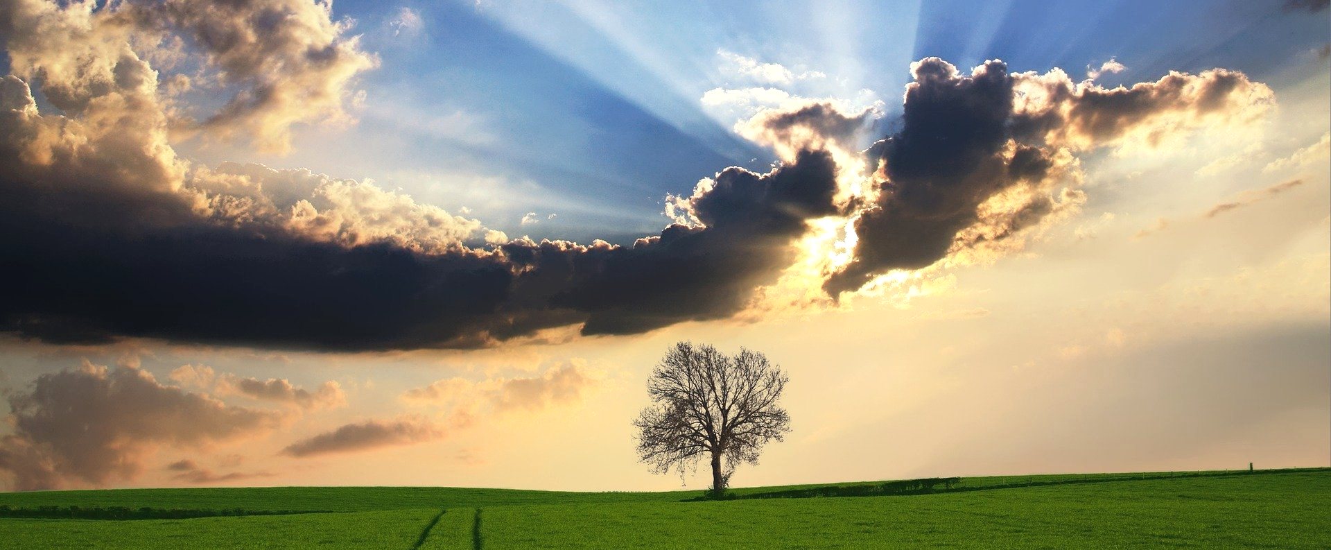 Le conseguenze della luce - WineSurf