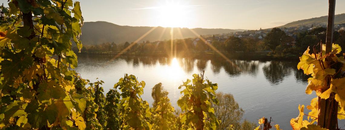 Riesling Trarbacher Huhnerberg Spatlese 2012, Martin Müllen: il vino ...