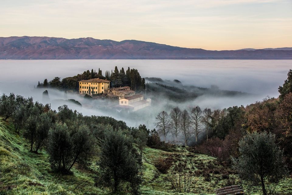 InvecchiatIGP: Galatrona 1998 Petrolo - WineSurf