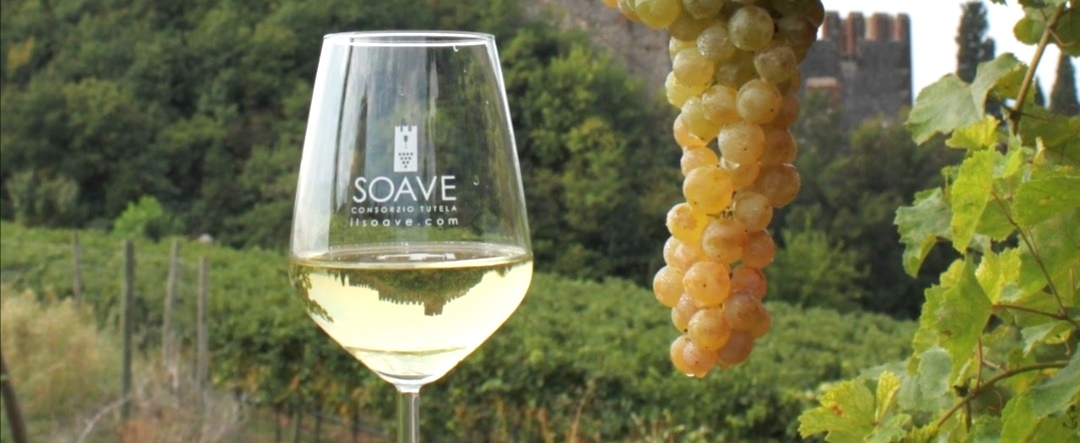 Il Soave a caccia di se stesso e del suo futuro - WineSurf