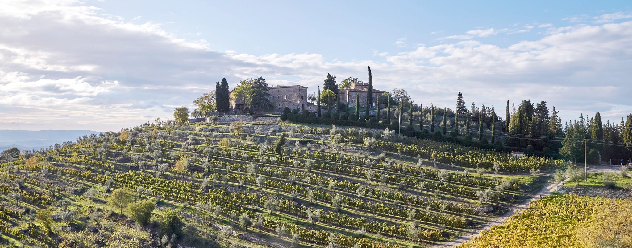 Castagnoli a Castellina in Chianti: caratteristiche particolari e vini ...