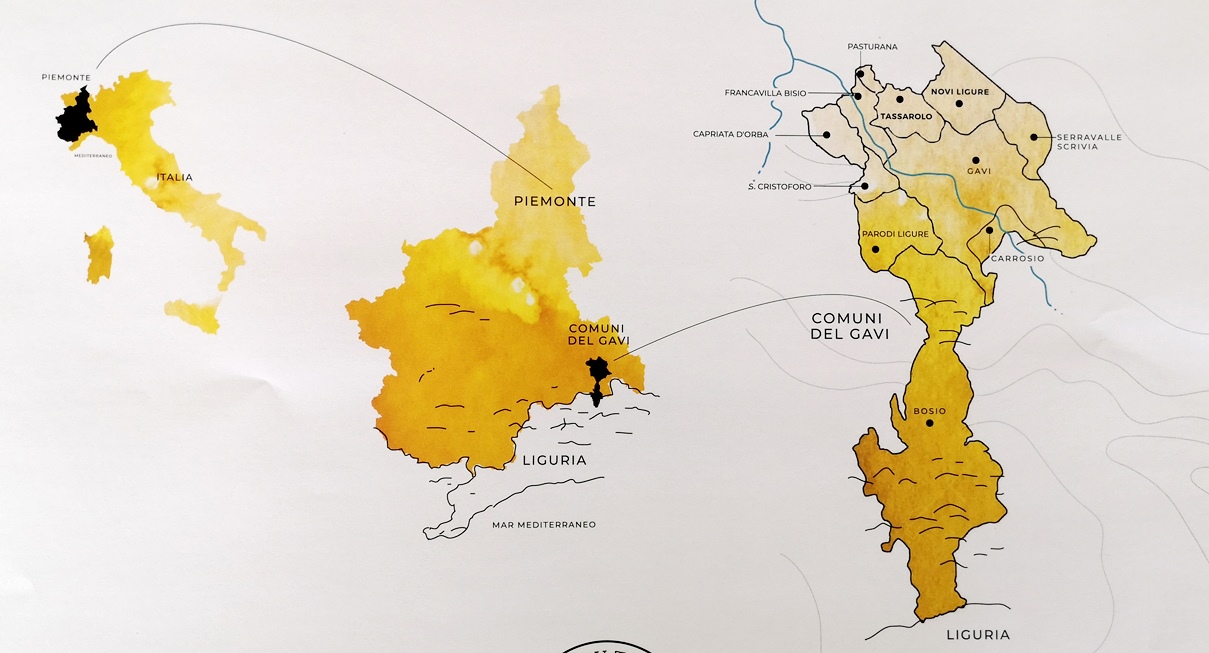 gavi-mappa - WineSurf