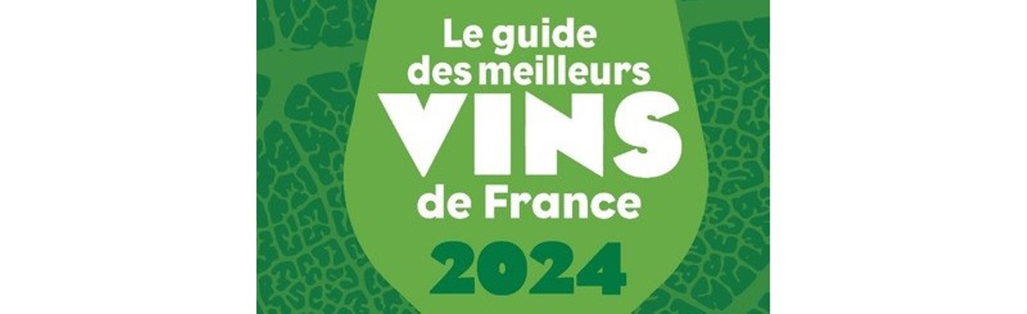 La Guide Vert 2024 della Revue du Vin de France: quali sono le migliori ...