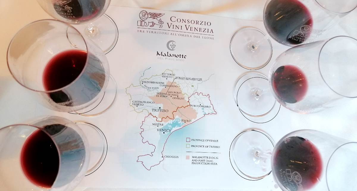 La bellussera: una "cattedrale" per il Raboso - WineSurf