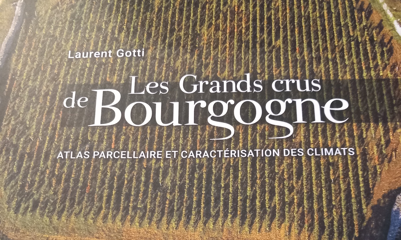 Un libro per apprezzare e capire meglio la Borgogna - WineSurf