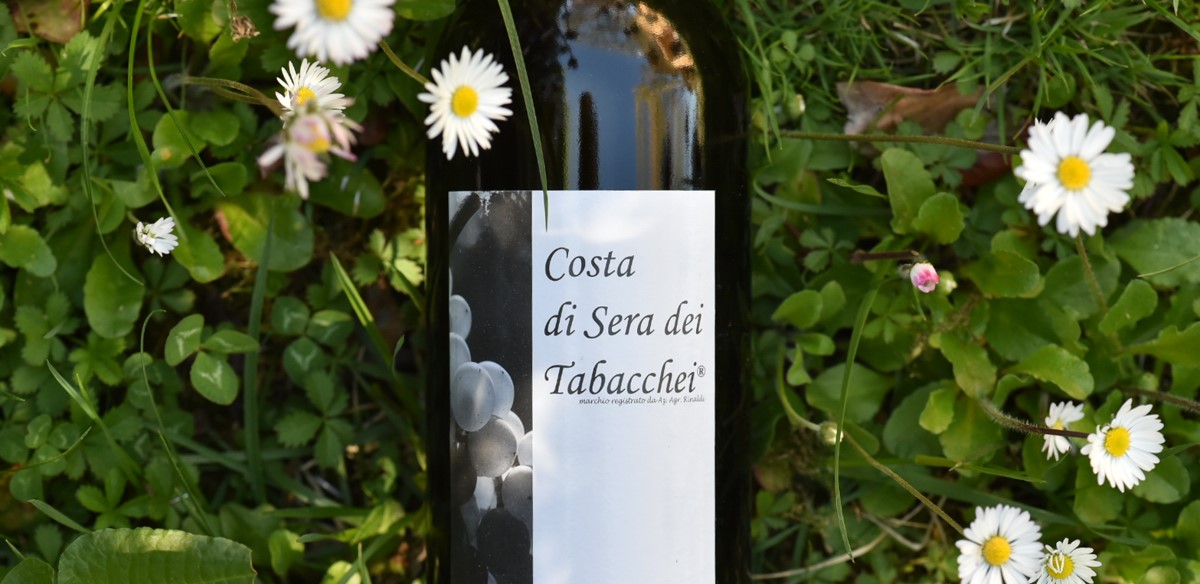 VINerdì IGP: Colline Novaresi Bianco Costa di Sera dei Tabacchei 2021 ...