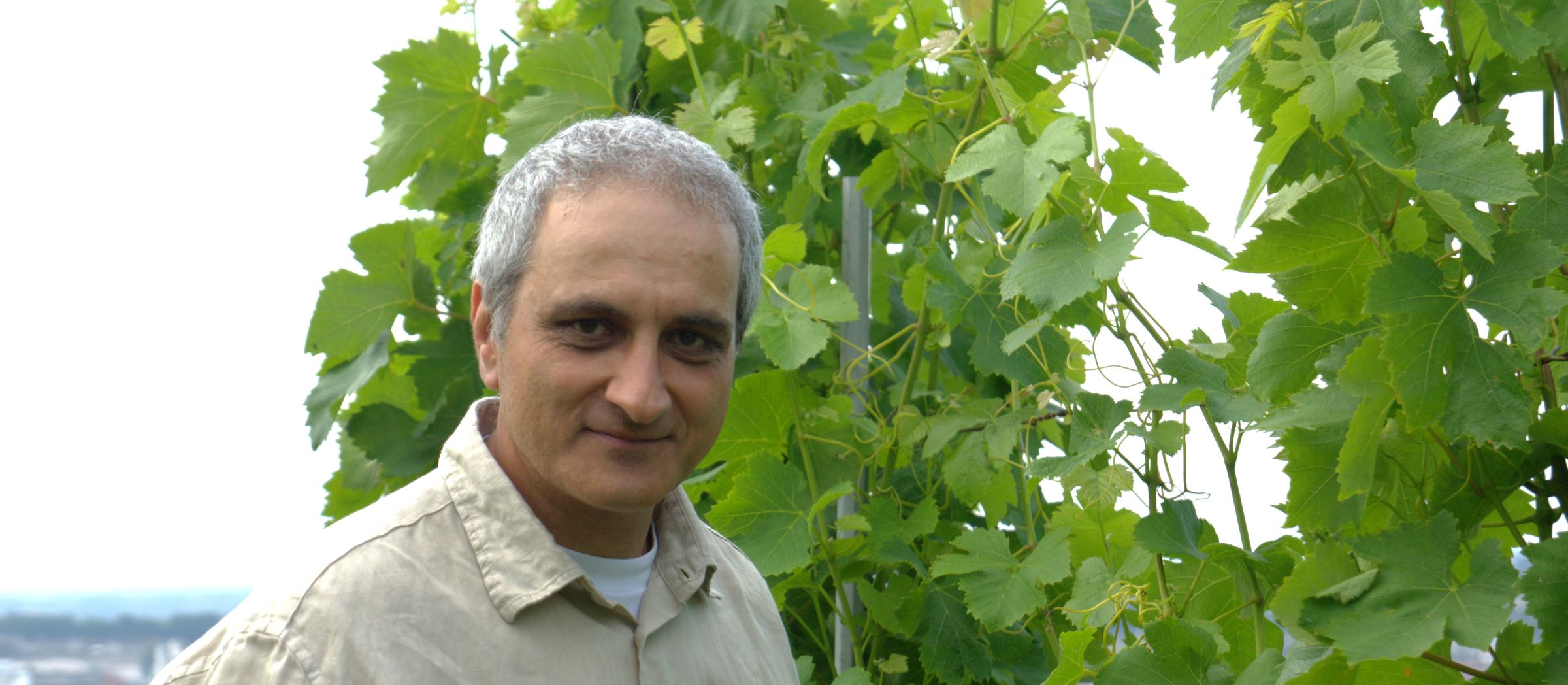 Giuseppe Fortunato (Contrada Salandra): “Un agricoltore dovrebbe ...