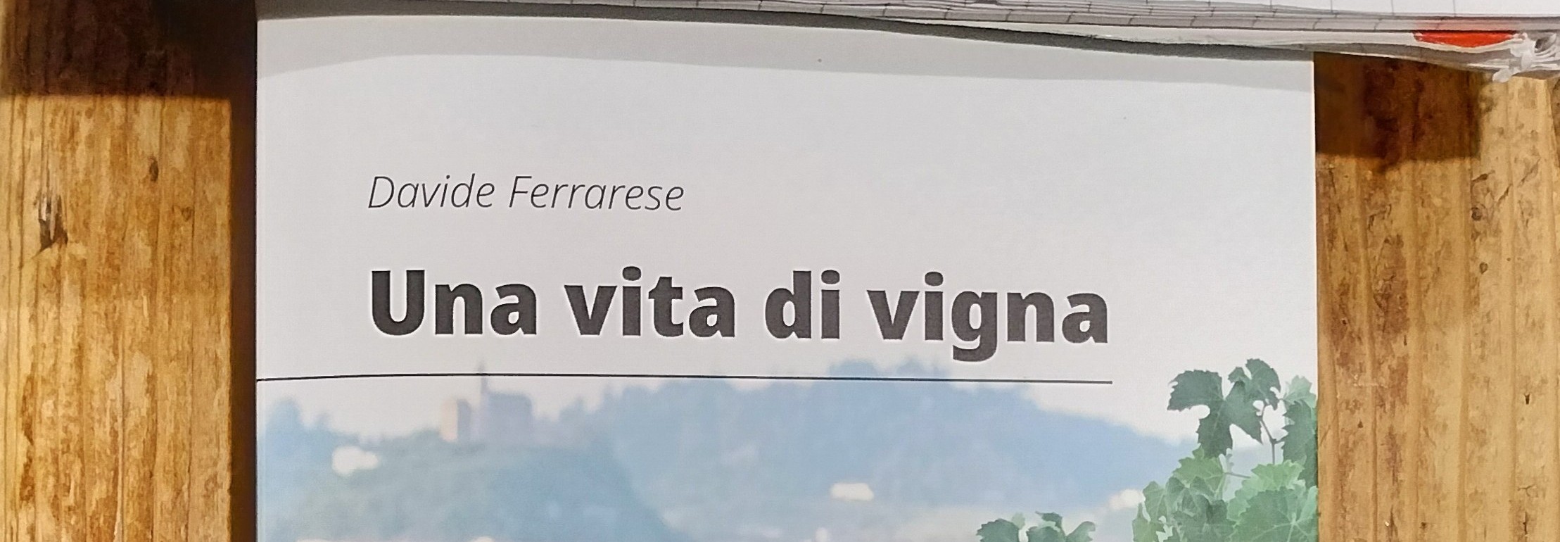 Davide Ferrarese “Una vita di vigna”: per capire e non solo vedere un vigneto - WineSurf